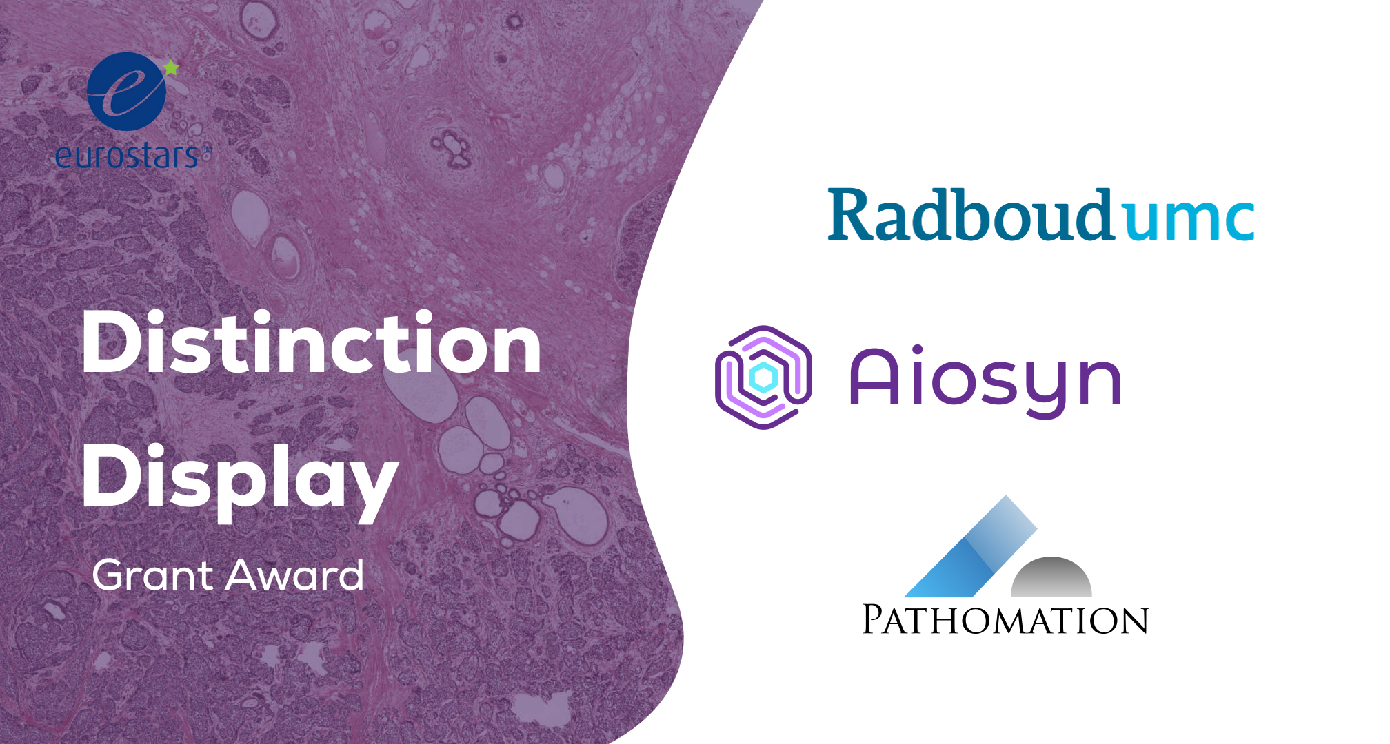 Aiosyn, Pathomation, and Radboud university medical center are awarded ...