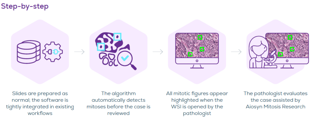 Mitotic figure counting - Aiosyn