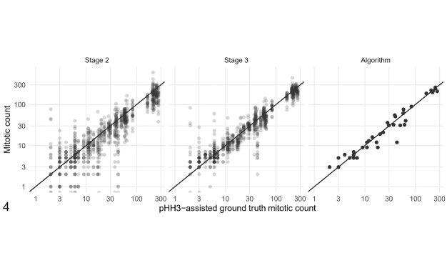 AI-powered mitosis count benefits